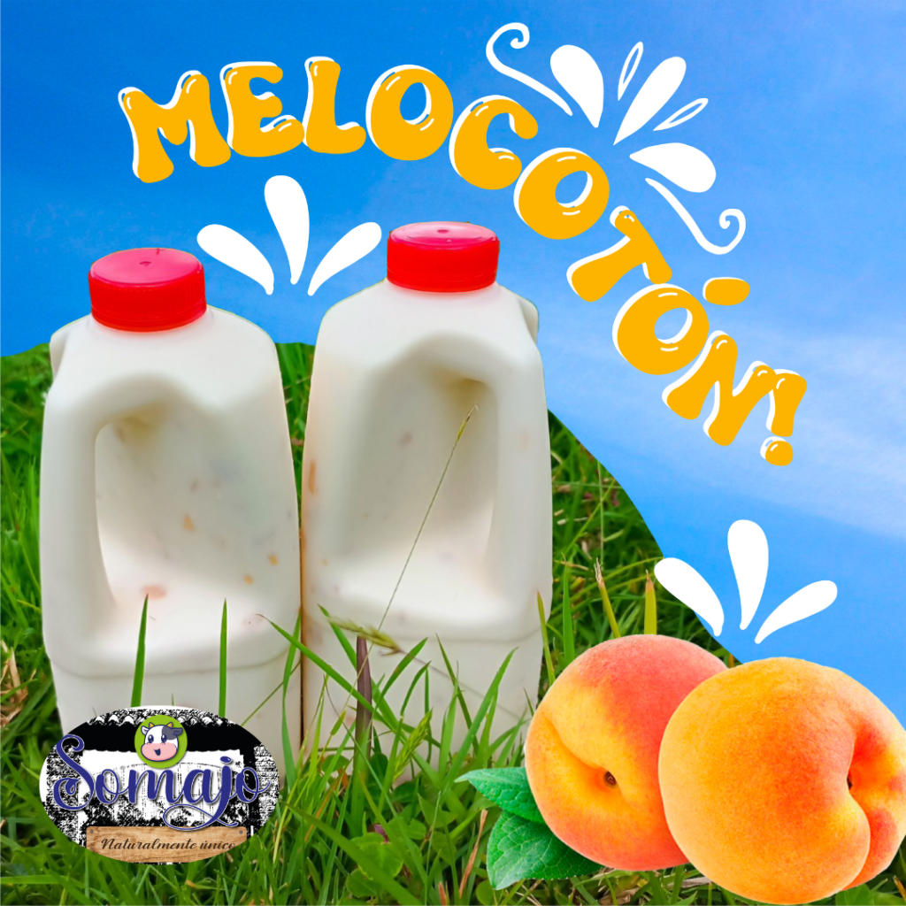 🍑Yogur sabor Melocotón - Venta Yogurt Artesanal Melocotón🍑