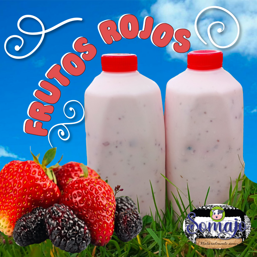 🫐Yogur Bebible Frutos Rojos🍓 - Venta Yogurt Artesanal